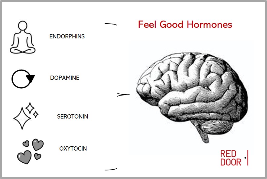 Feel good hormones – Start your Red Door Journey